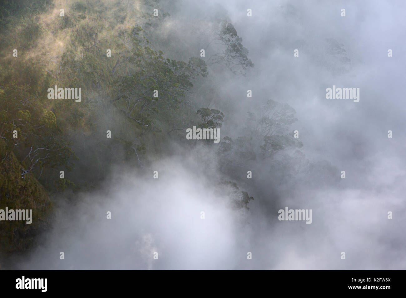 Mist rising from the bottom hi-res stock photography and images - Alamy