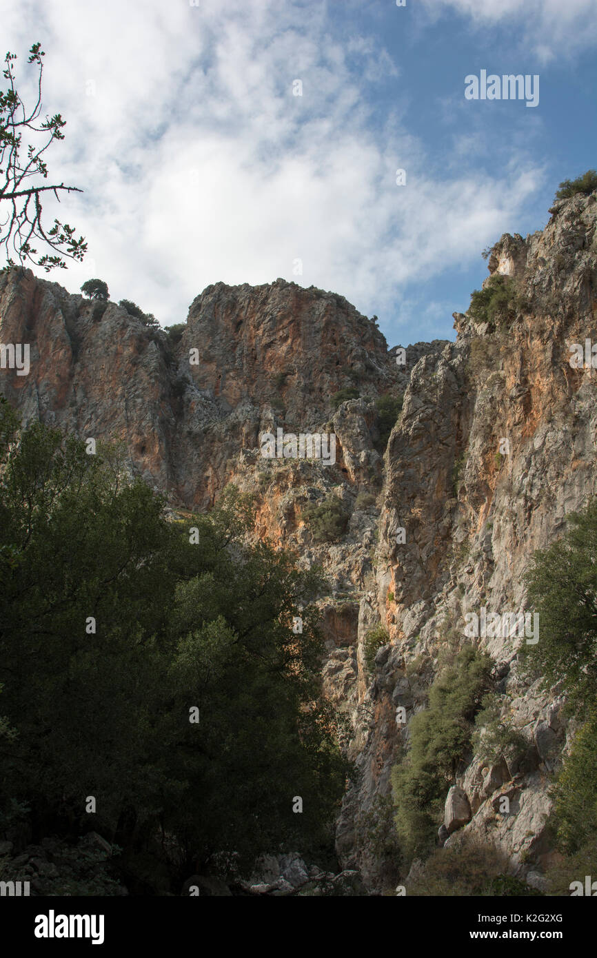 Kritsa Gorge is a narrow limestone canyon running near the town of ...
