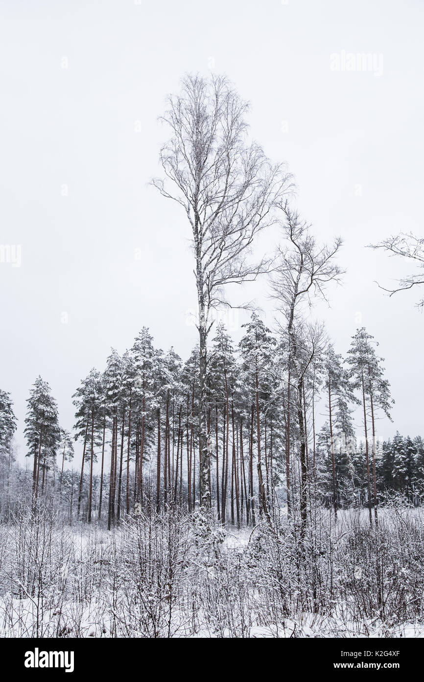 Gray overcast day hi-res stock photography and images - Alamy