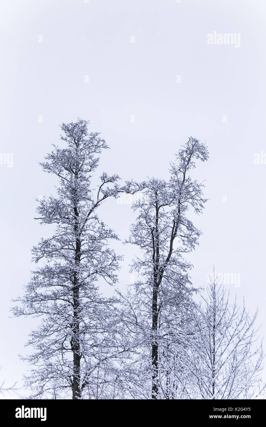 Gray overcast day hi-res stock photography and images - Alamy