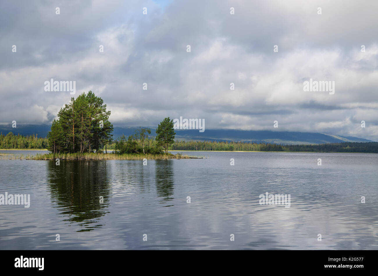 Wooded shore of a large lake. Forests along the coast. Kola Peninsula ...