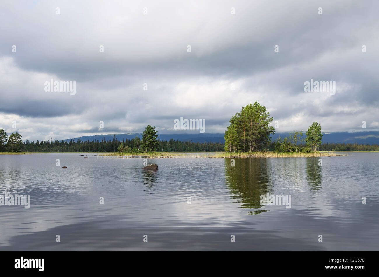 Wooded shore of a large lake. Forests along the coast. Kola Peninsula ...