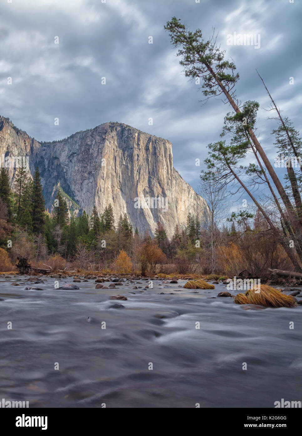 Sunlight reflected on the El Capitan Peak, and the Merced River in late ...