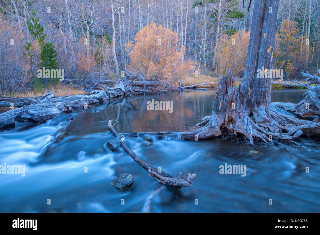 June lake loop hi-res stock photography and images - Alamy