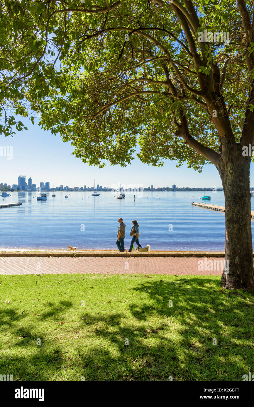 Are Dogs Allowed At Matilda Bay Reserve