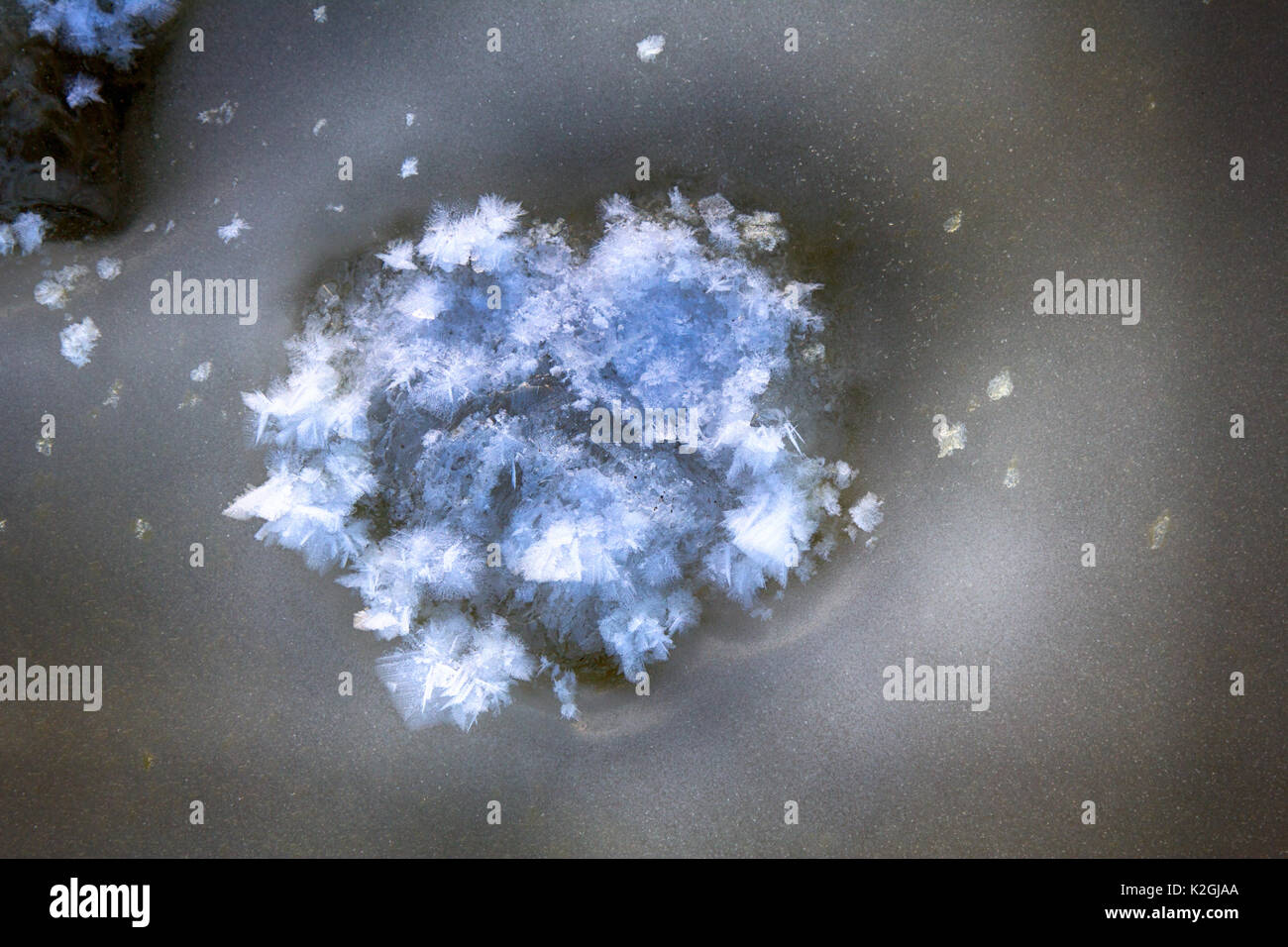 background ice beautiful after a heavy frost. fluffy frozen snow ...