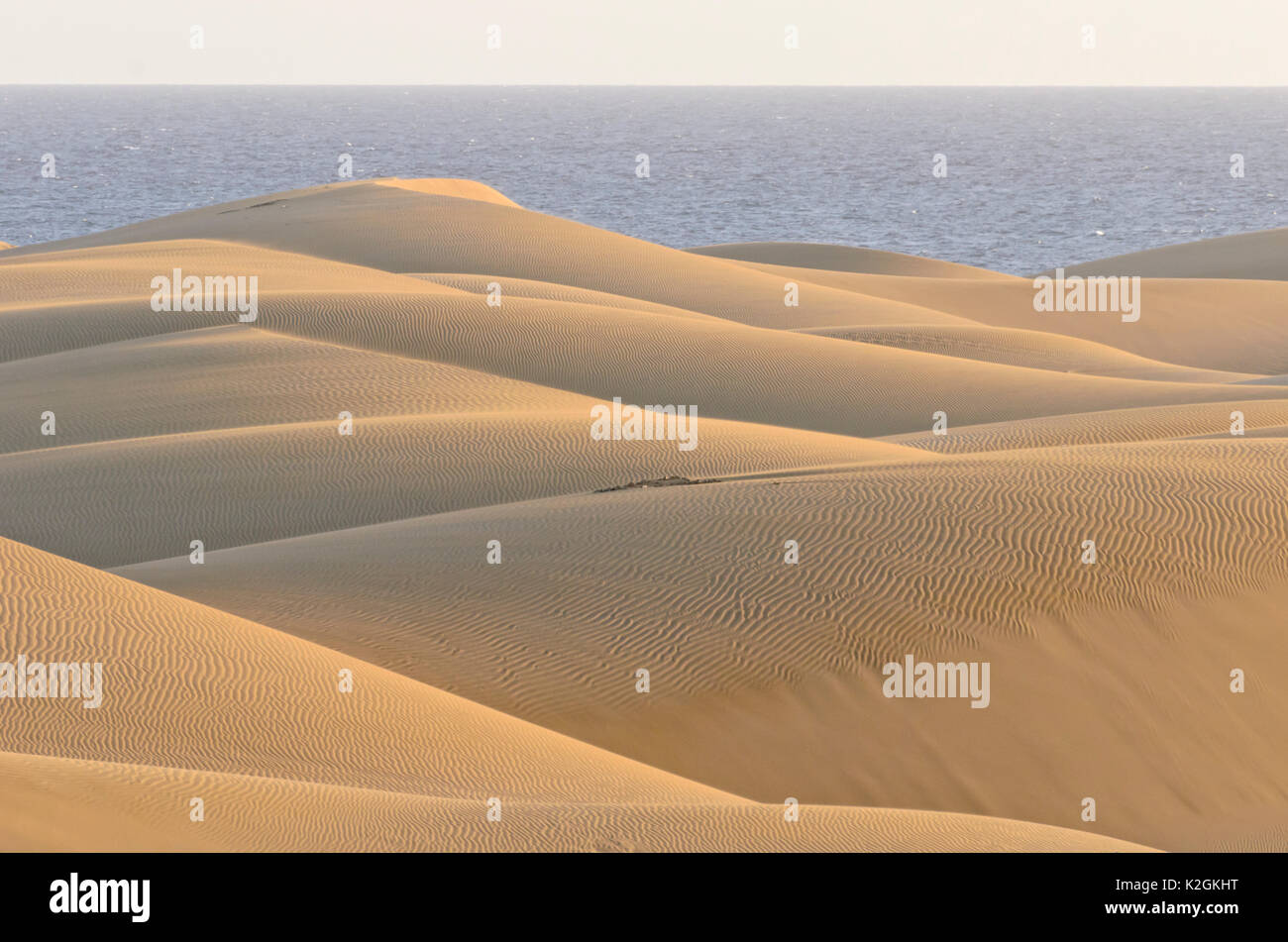 Shifting sand dunes, Maspalomas, Gran Canaria, Spain Stock Photo - Alamy
