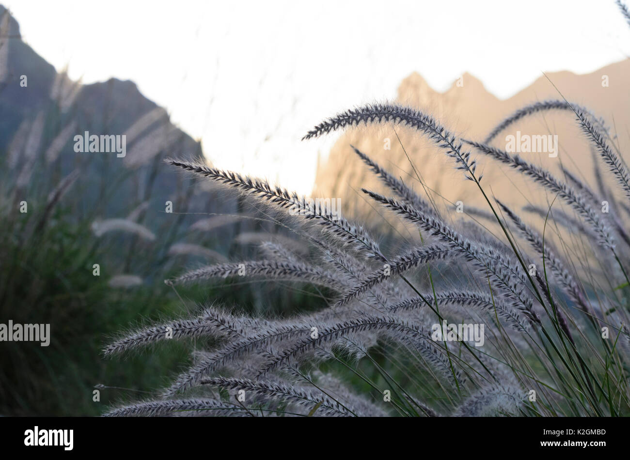 Parts of landscape hi-res stock photography and images - Alamy