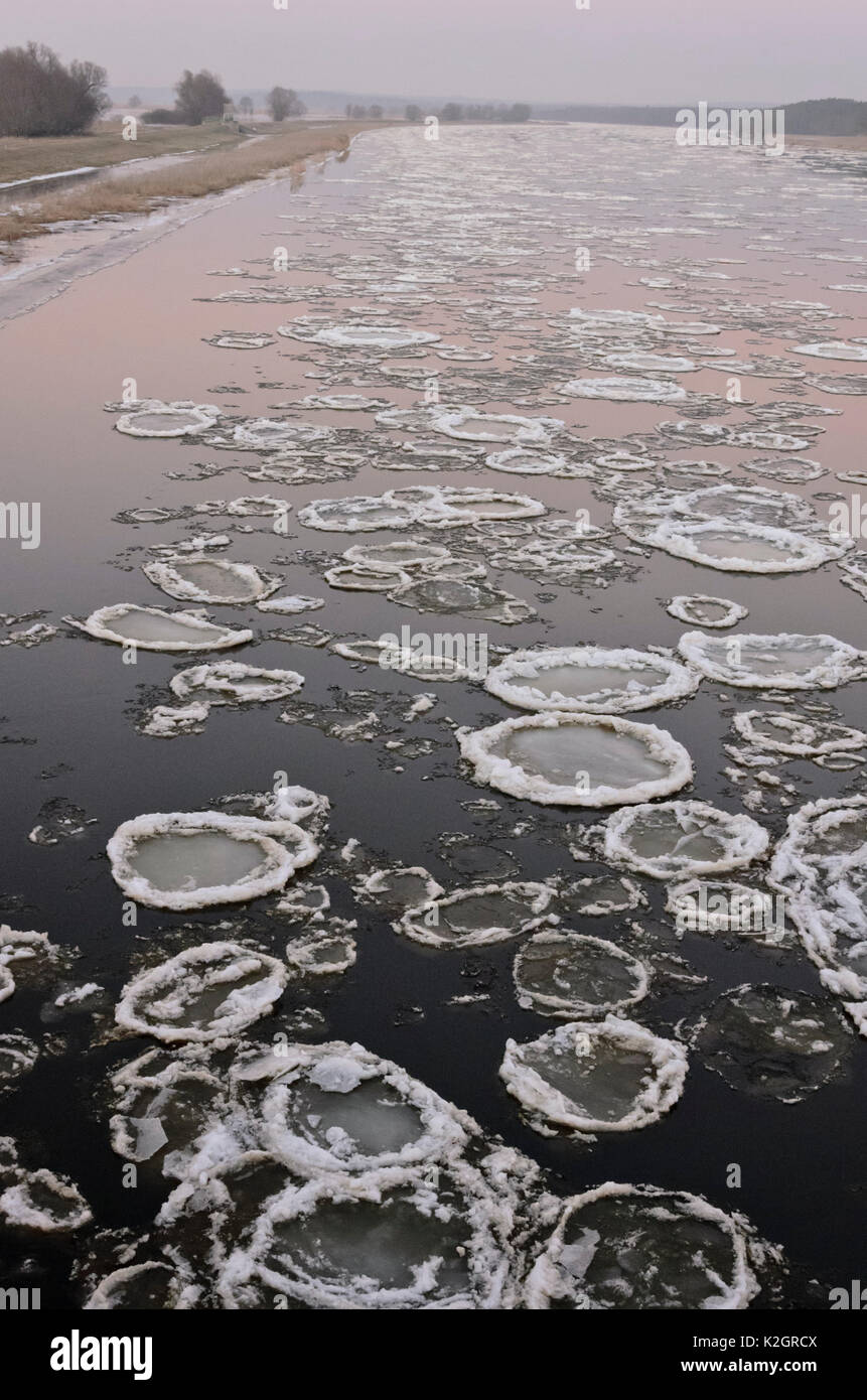 Drifting ice on Oder River, Lower Oder Valley National Park, Germany ...