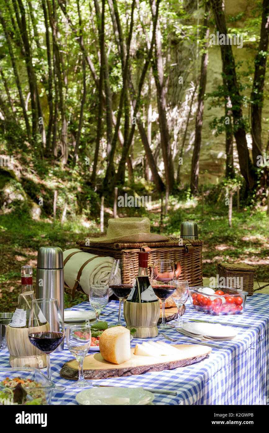 Picnic in the woods hi-res stock photography and images - Alamy