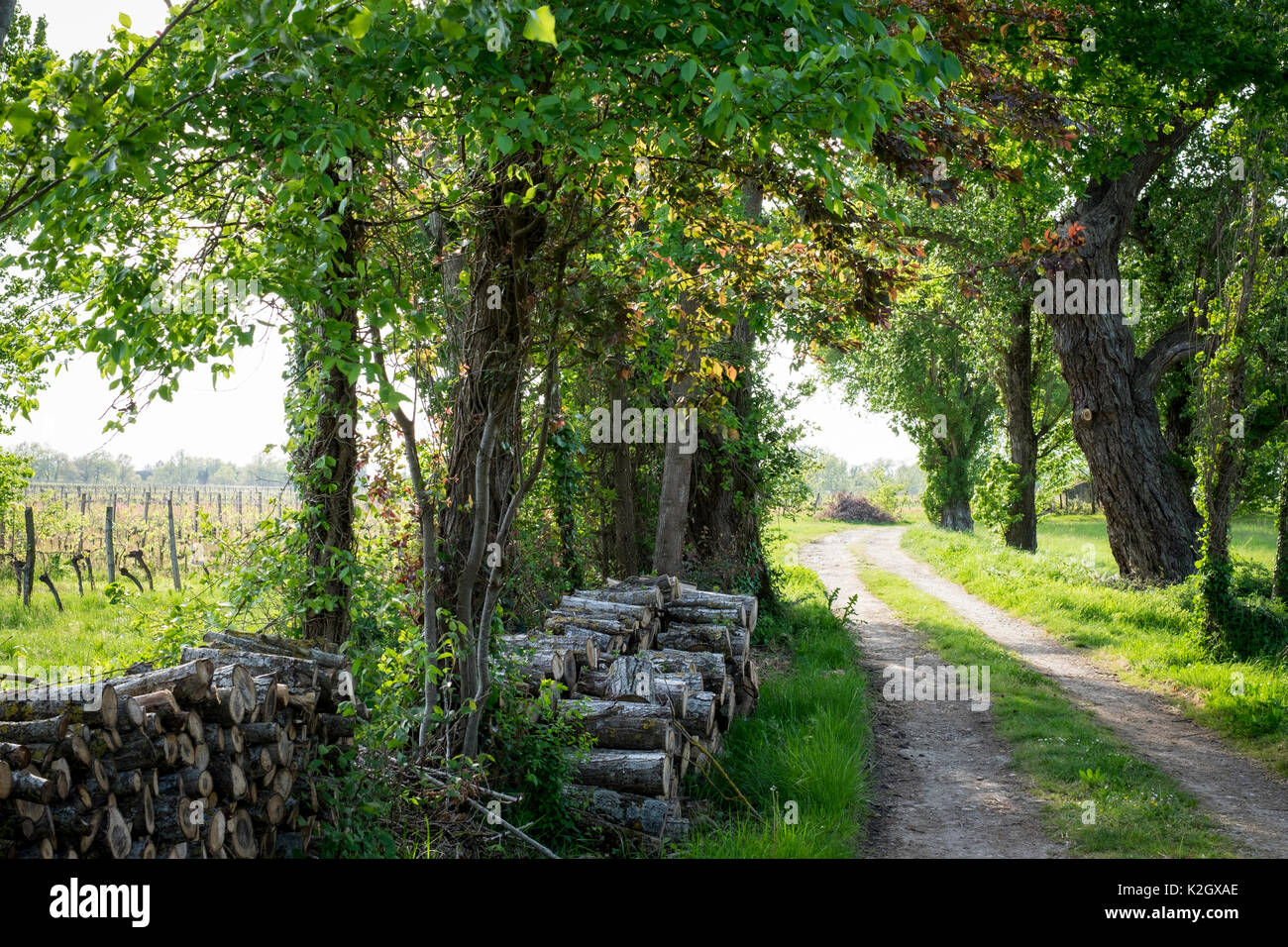 Rural country lane hi-res stock photography and images - Alamy