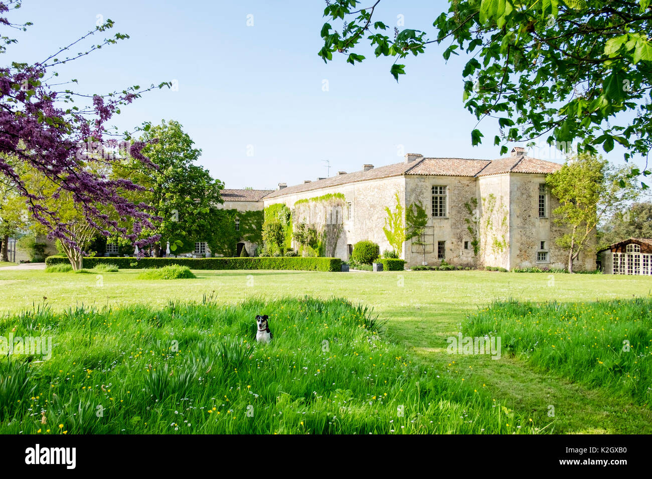 Chateau Rigaud exterior of hotel near St Emilion, France Stock Photo ...