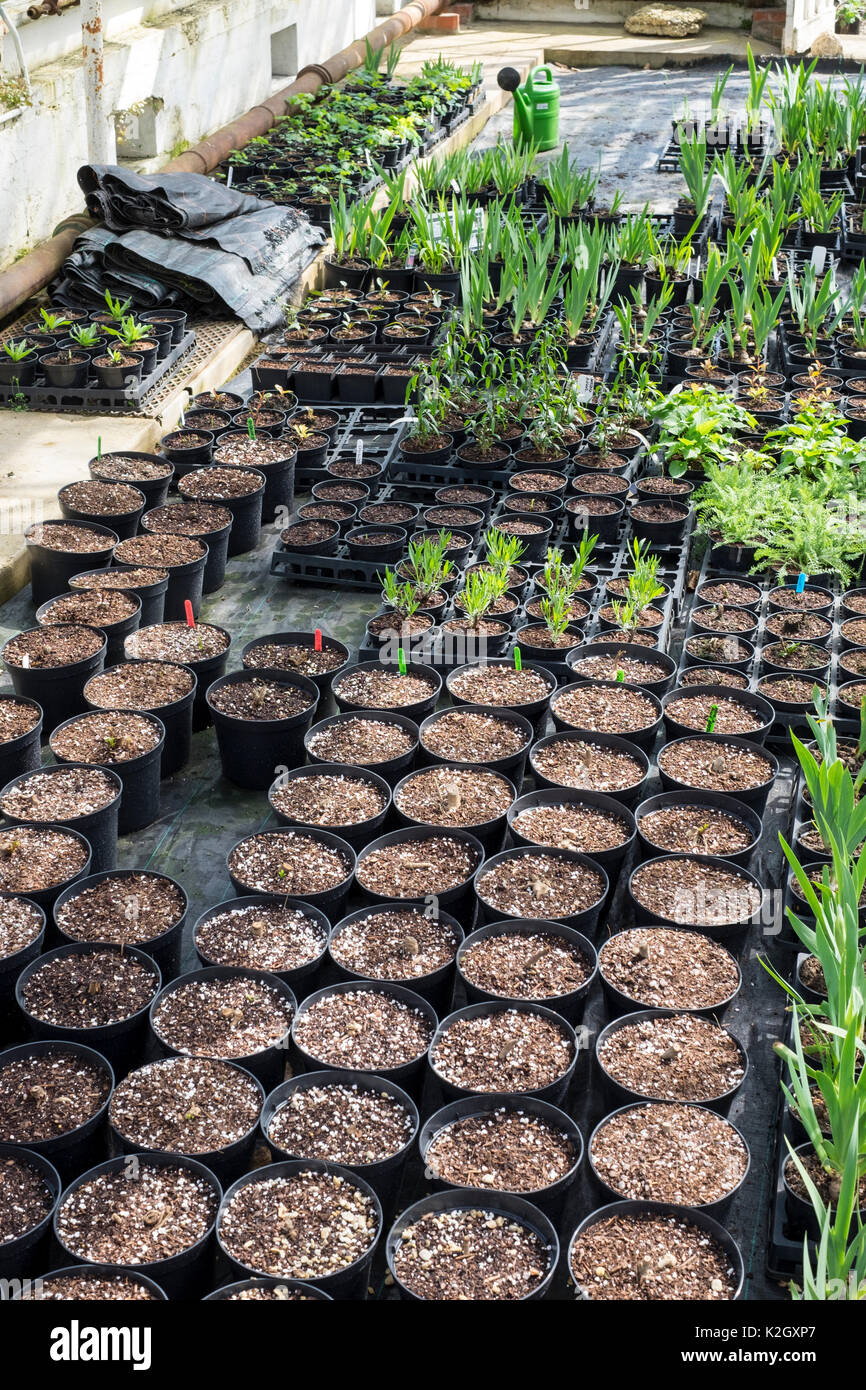 Propagation area hi-res stock photography and images - Alamy