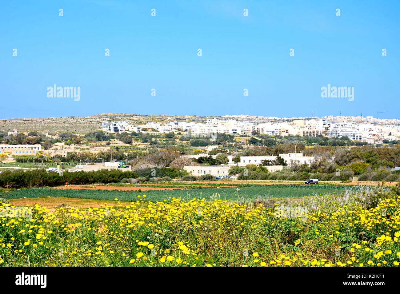 Agriculture in malta hi-res stock photography and images - Alamy