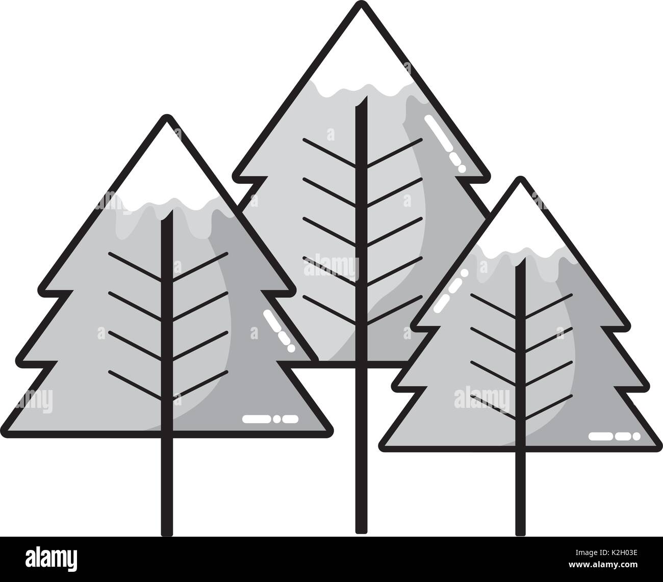 grayscale beauty natural pine tree design Stock Vector Image & Art - Alamy