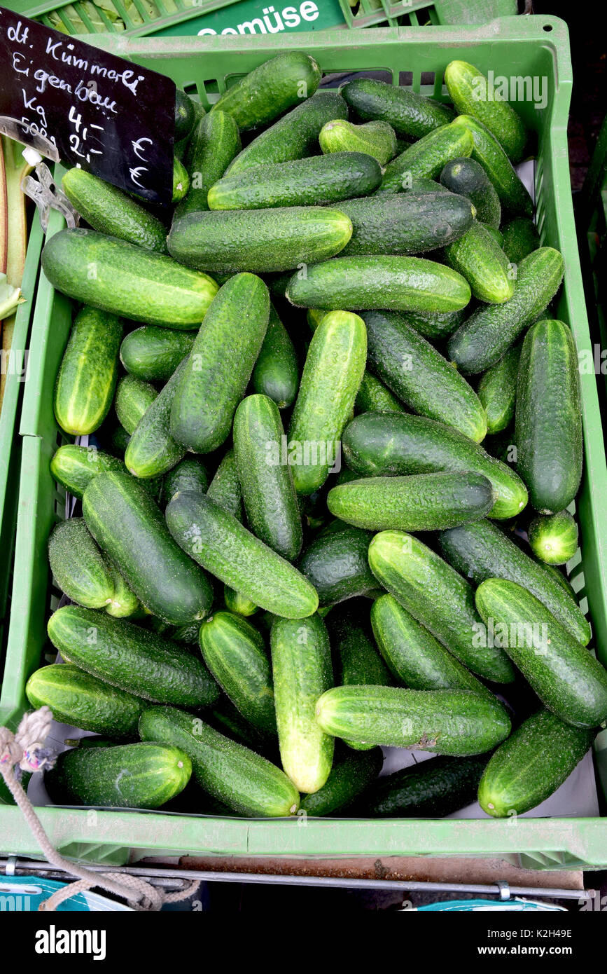 Cucumber stall hi-res stock photography and images - Alamy
