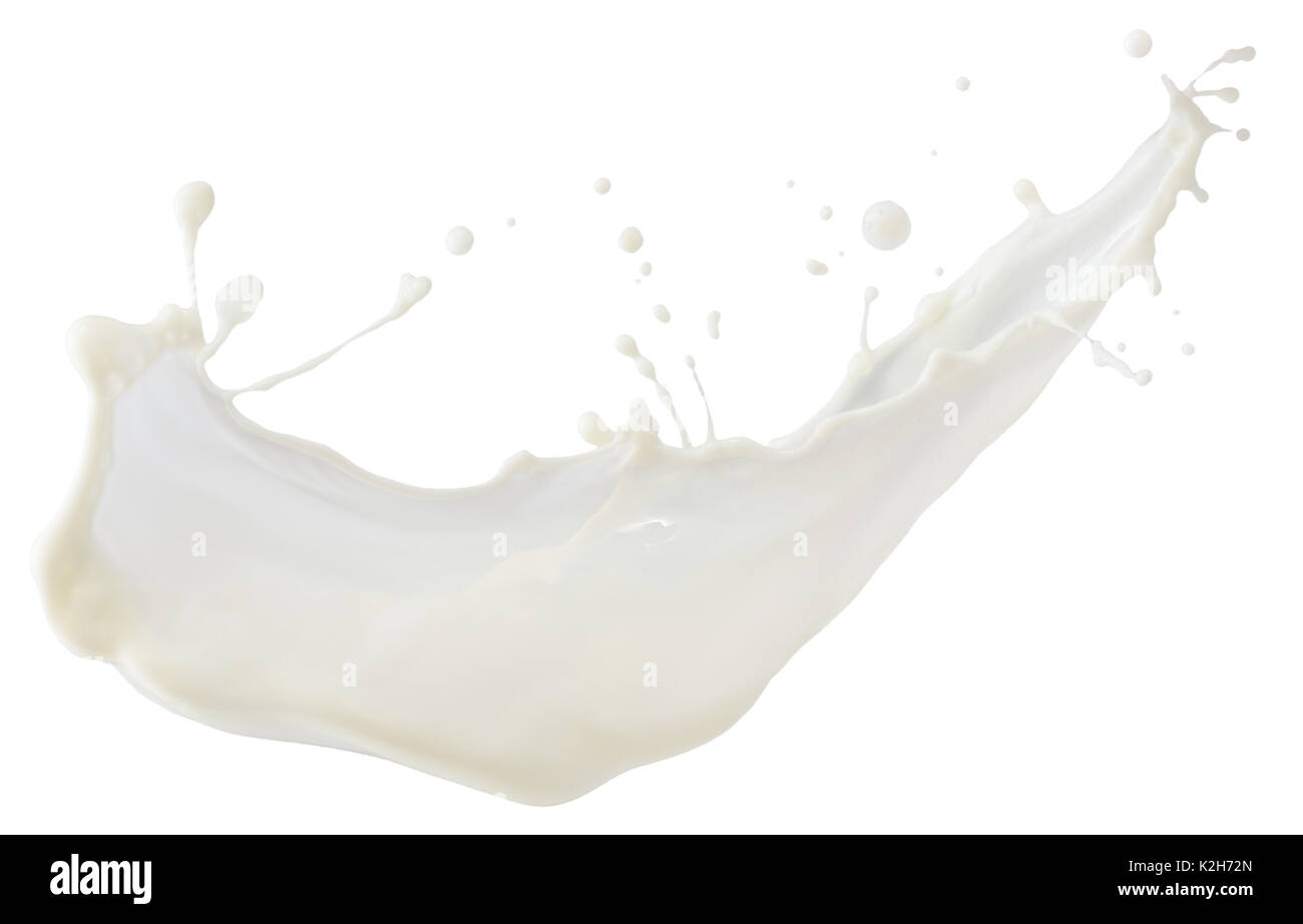 milk splash isolated on a white background Stock Photo - Alamy