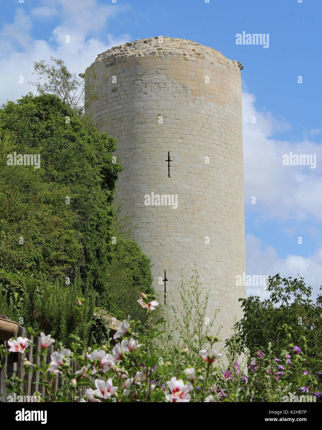 NIORT, FRANCE, JULY 21 2017: The medieval castle of Chateau Coudray ...