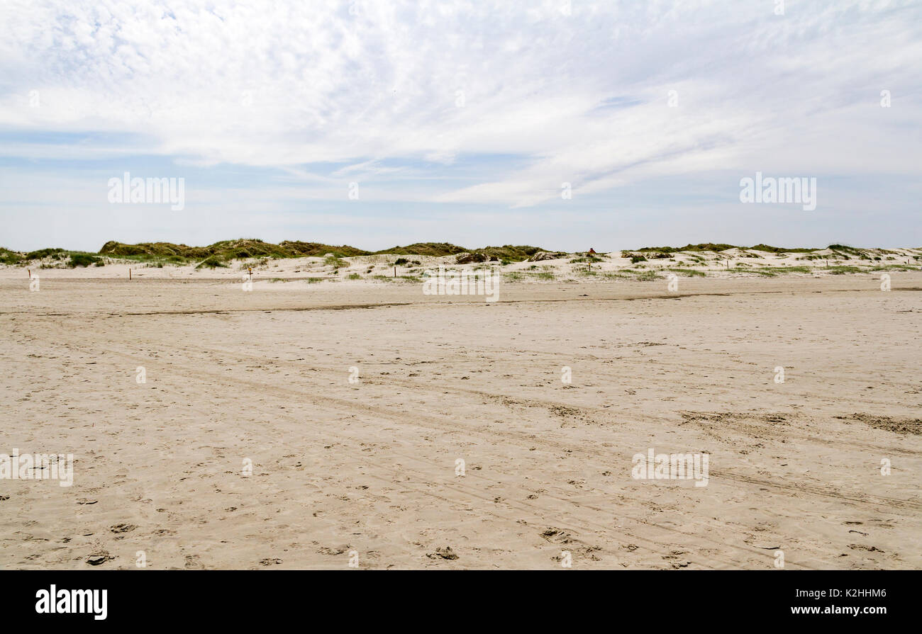 coastal scenery around Buesum in Dithmarschen at Schleswig-Holstein ...