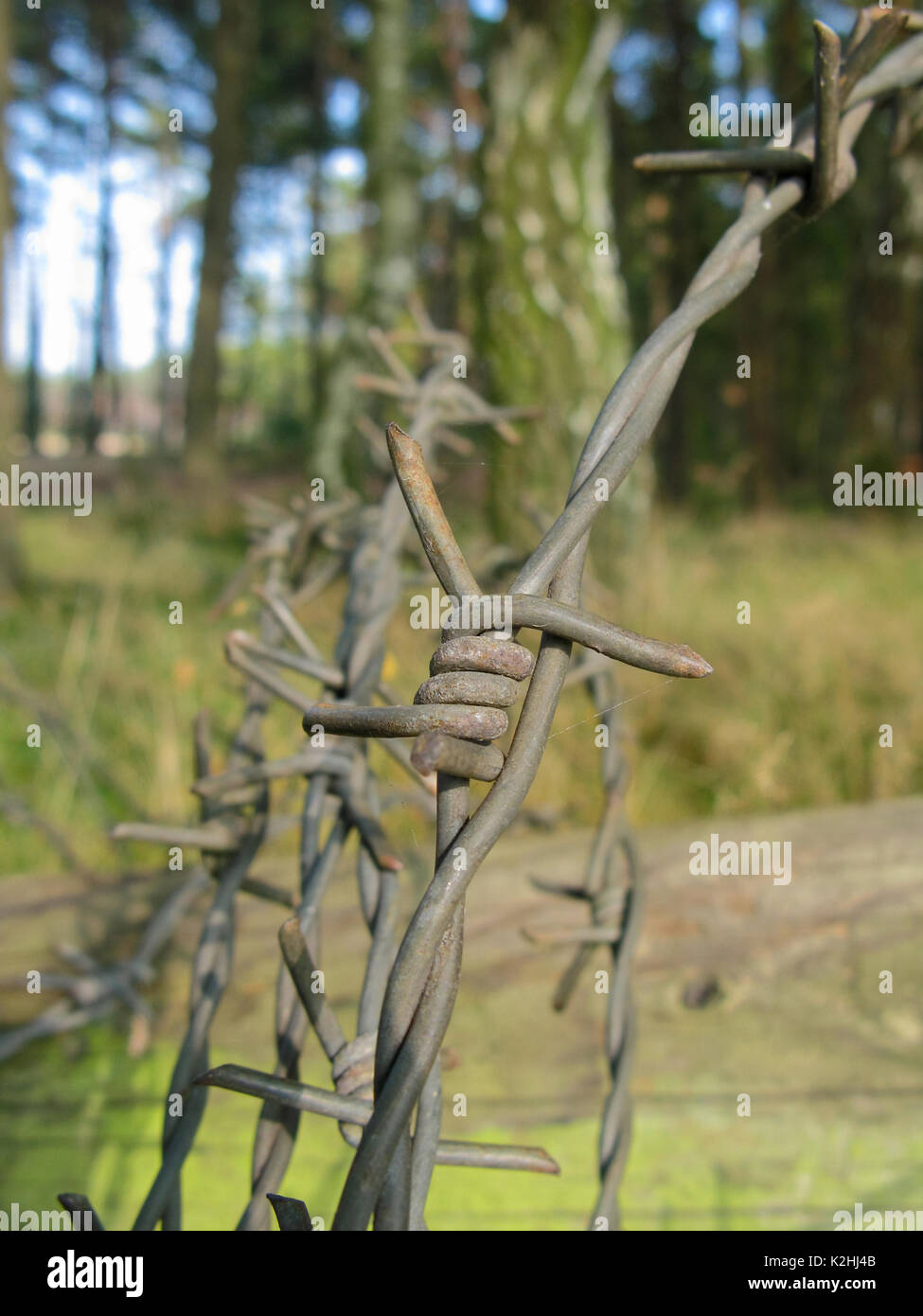 Barb wire vector hi-res stock photography and images - Alamy