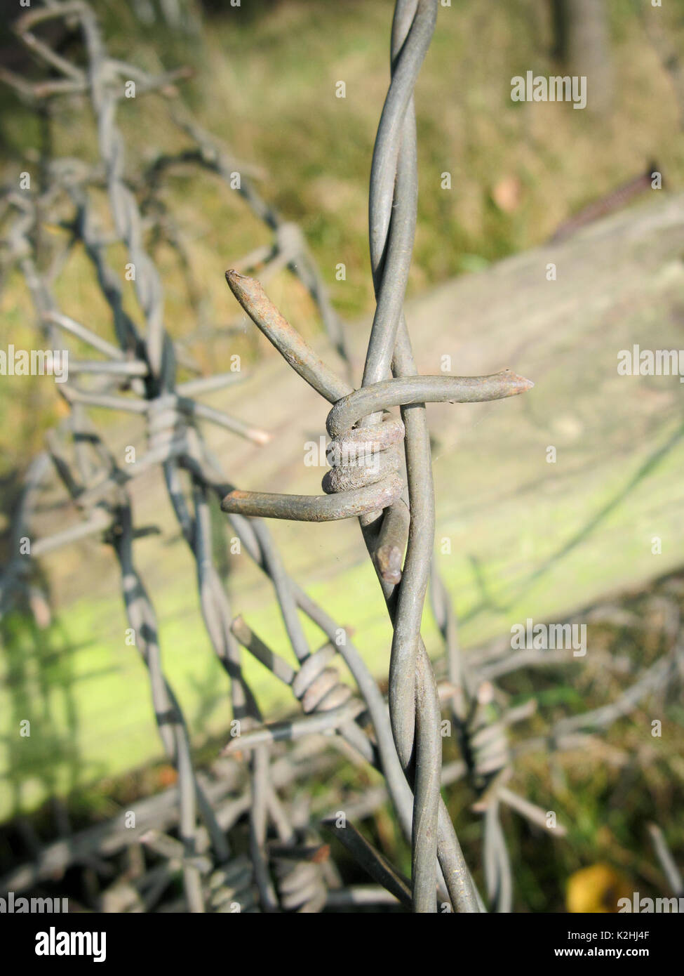 Circle barb wire hi-res stock photography and images - Alamy