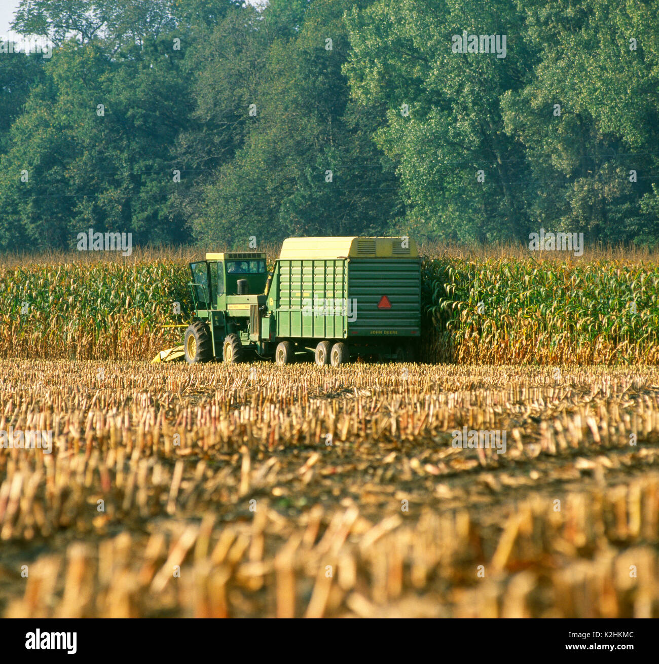 HARVESTING CORN FOR SILAGE, ST. OLAF, IOWA Stock Photo - Alamy