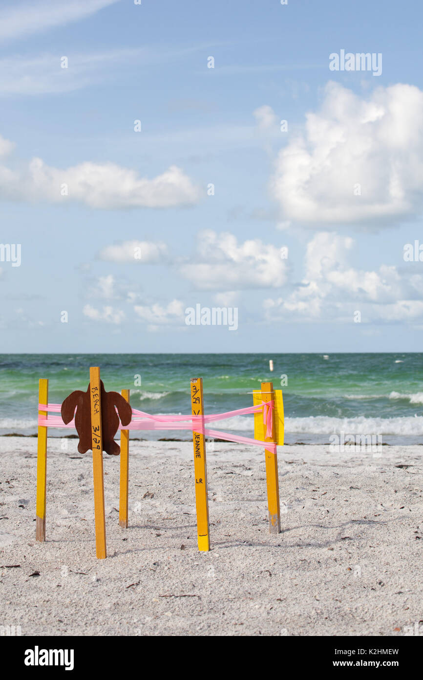 anna maria island turtle nest Stock Photo - Alamy