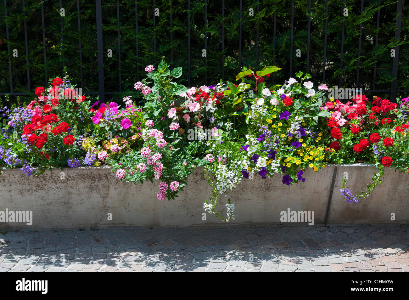 Planter mix hi-res stock photography and images - Alamy