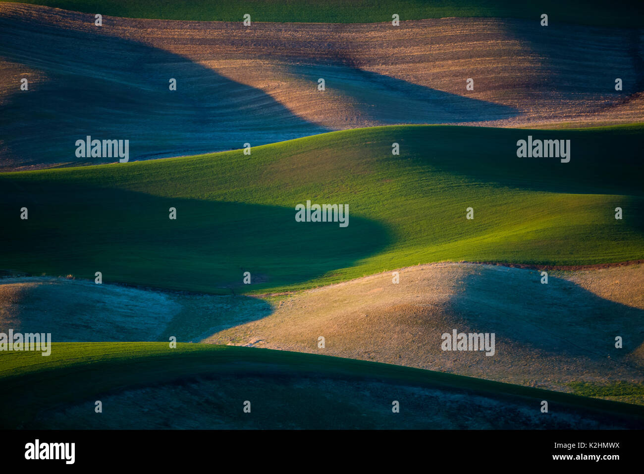Springtime on the rolling hills of the Palouse in Washington State's ...