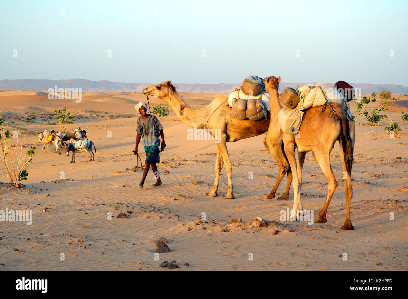 Tagant region hi-res stock photography and images - Alamy