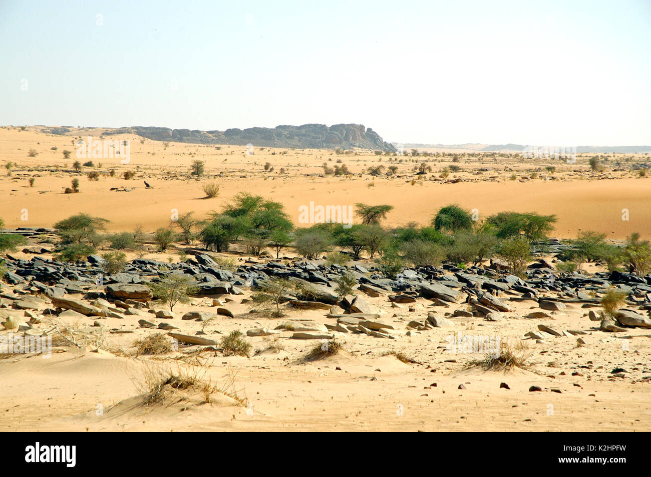 Tagant region hi-res stock photography and images - Alamy