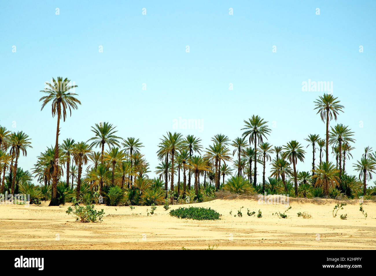 Tagant region hi-res stock photography and images - Alamy