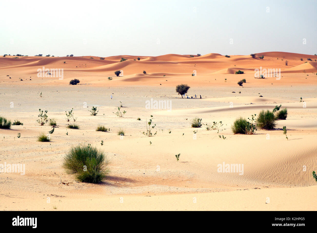 The Sahara desert in the Adrar region. Mauritania Stock Photo - Alamy