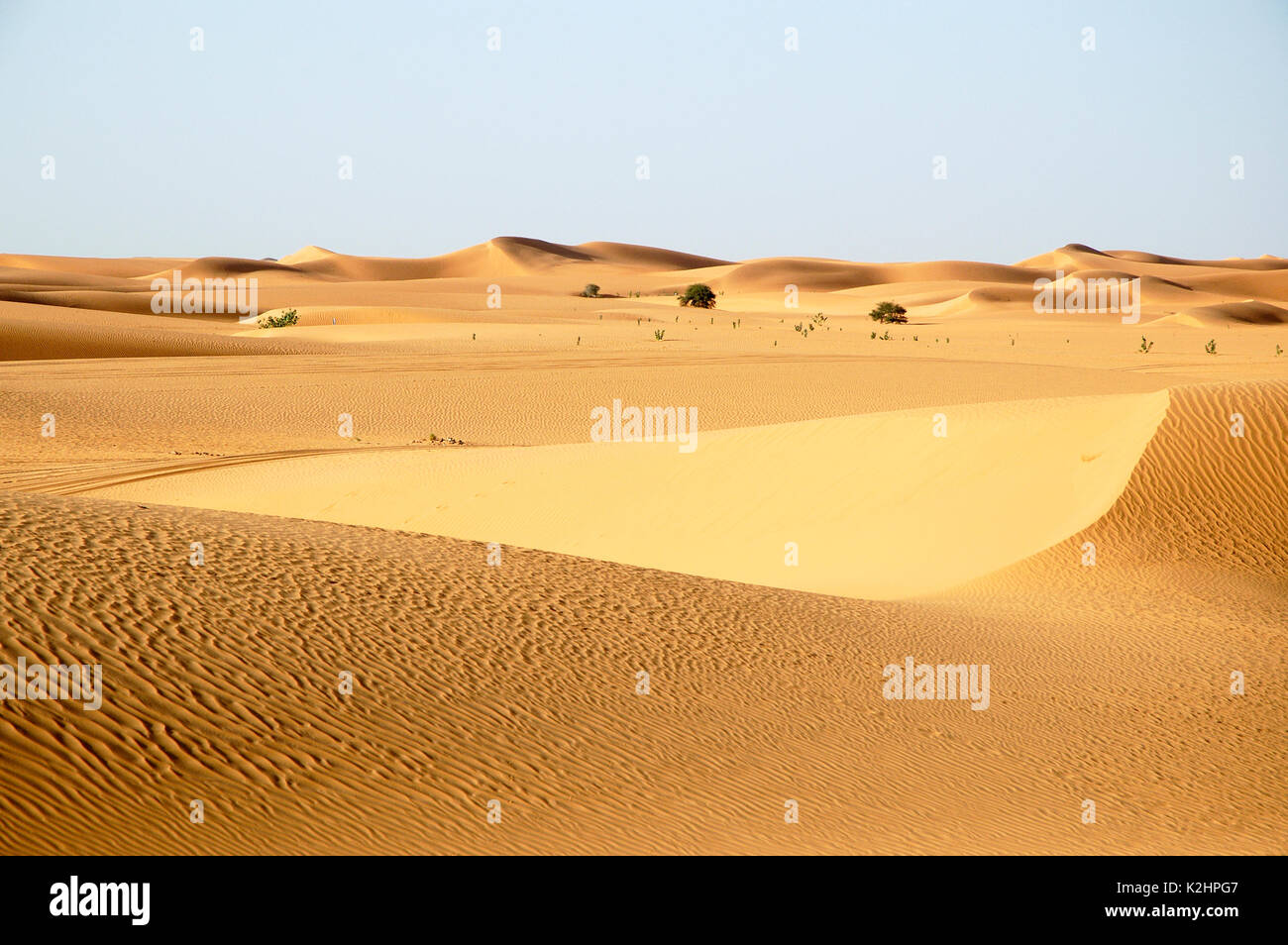 Sand dunes of Chinguett. Mauritania Stock Photo - Alamy