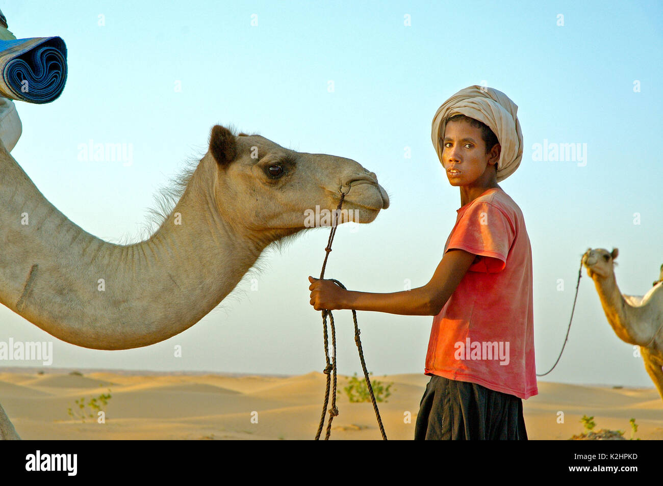 Tagant region hi-res stock photography and images - Alamy