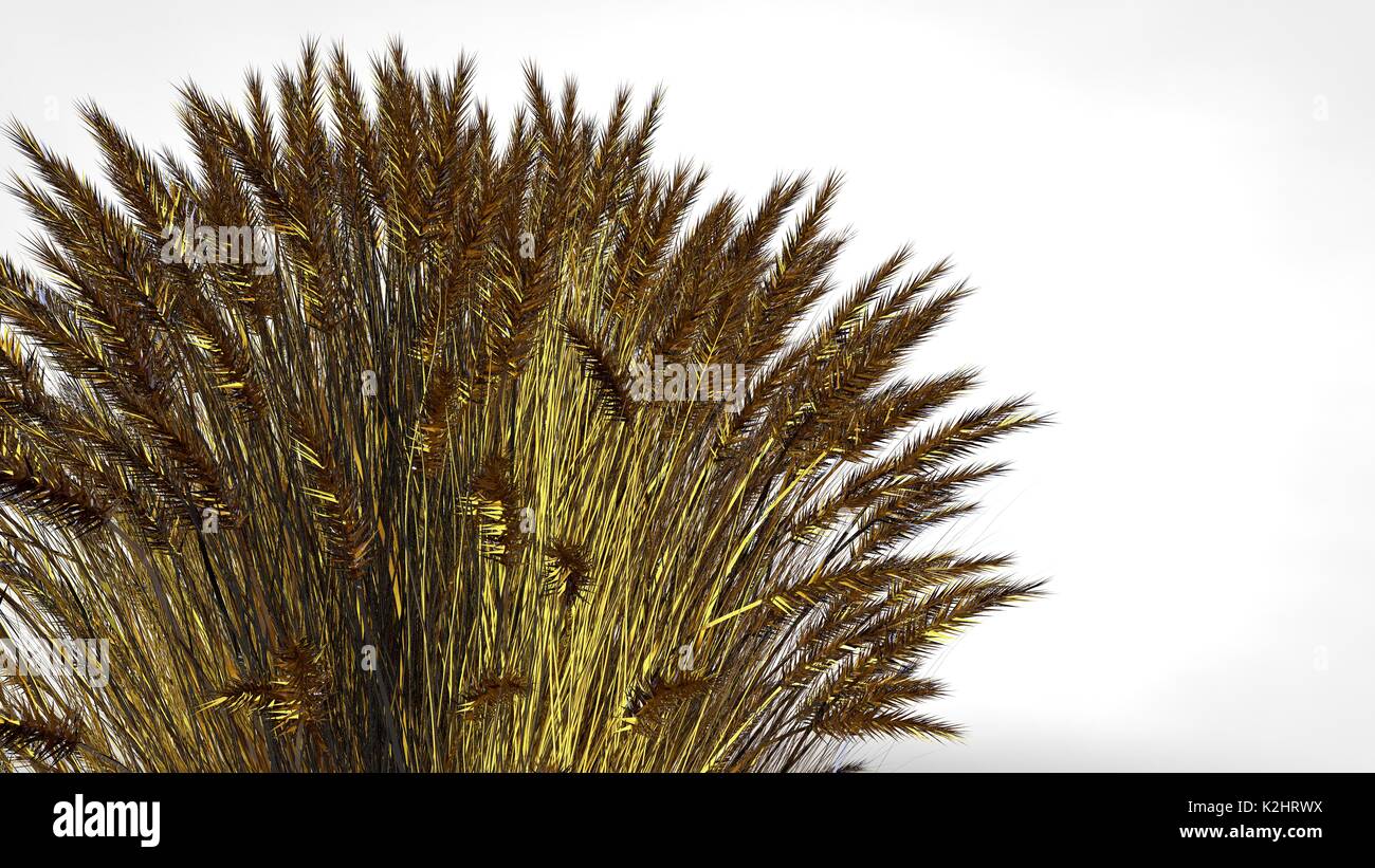 3d rendering of an abstract reflective golden tree on a white ...
