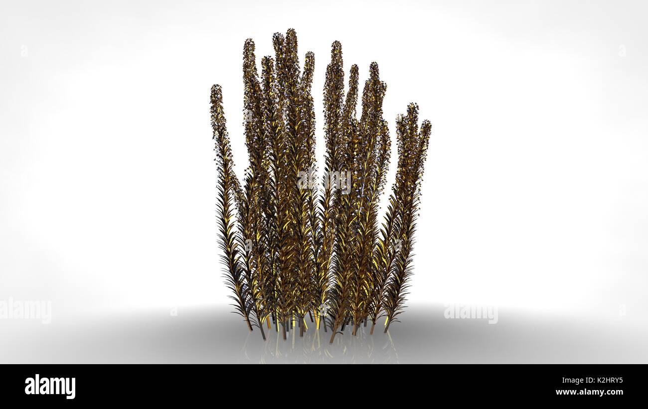 3d rendering of an abstract reflective golden tree on a white ...