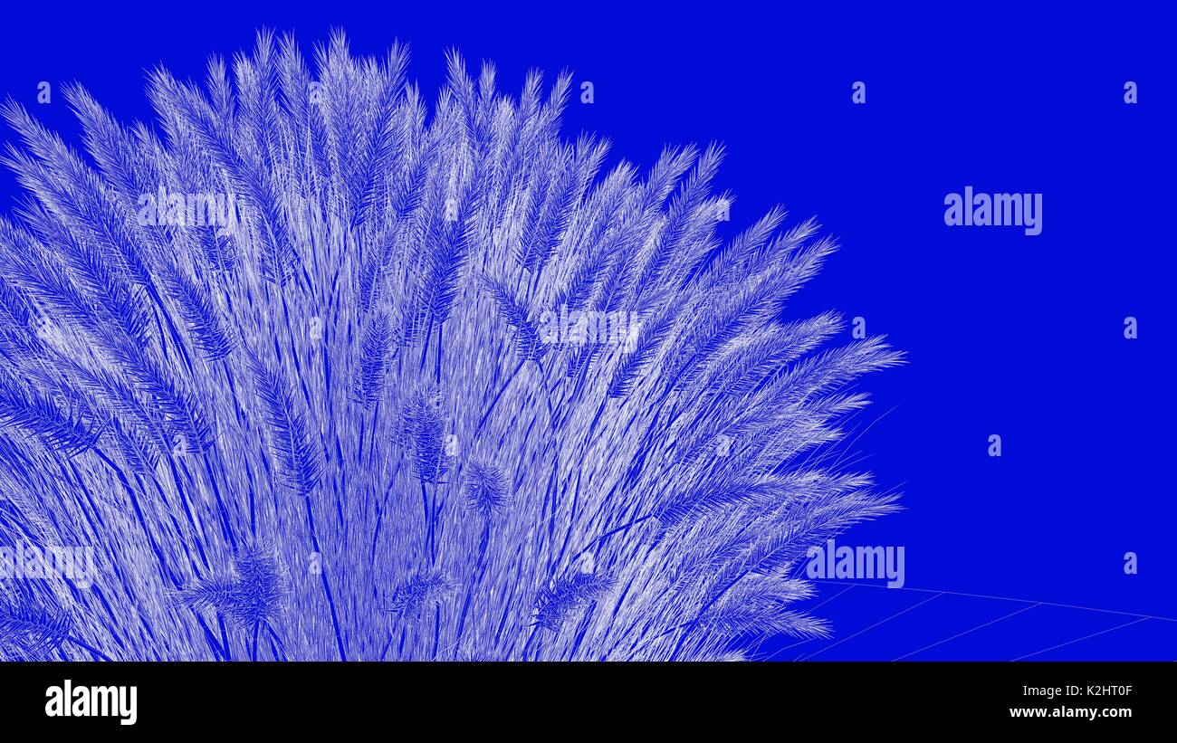 3d rendering of a white outlined tree on a blue background Stock Photo ...