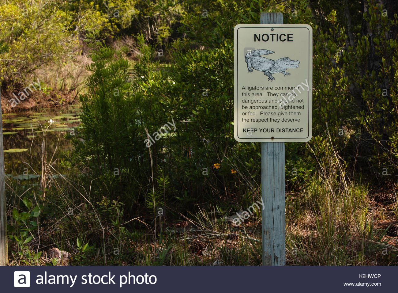 Alligator Warning Sign Stock Photos & Alligator Warning Sign Stock ...