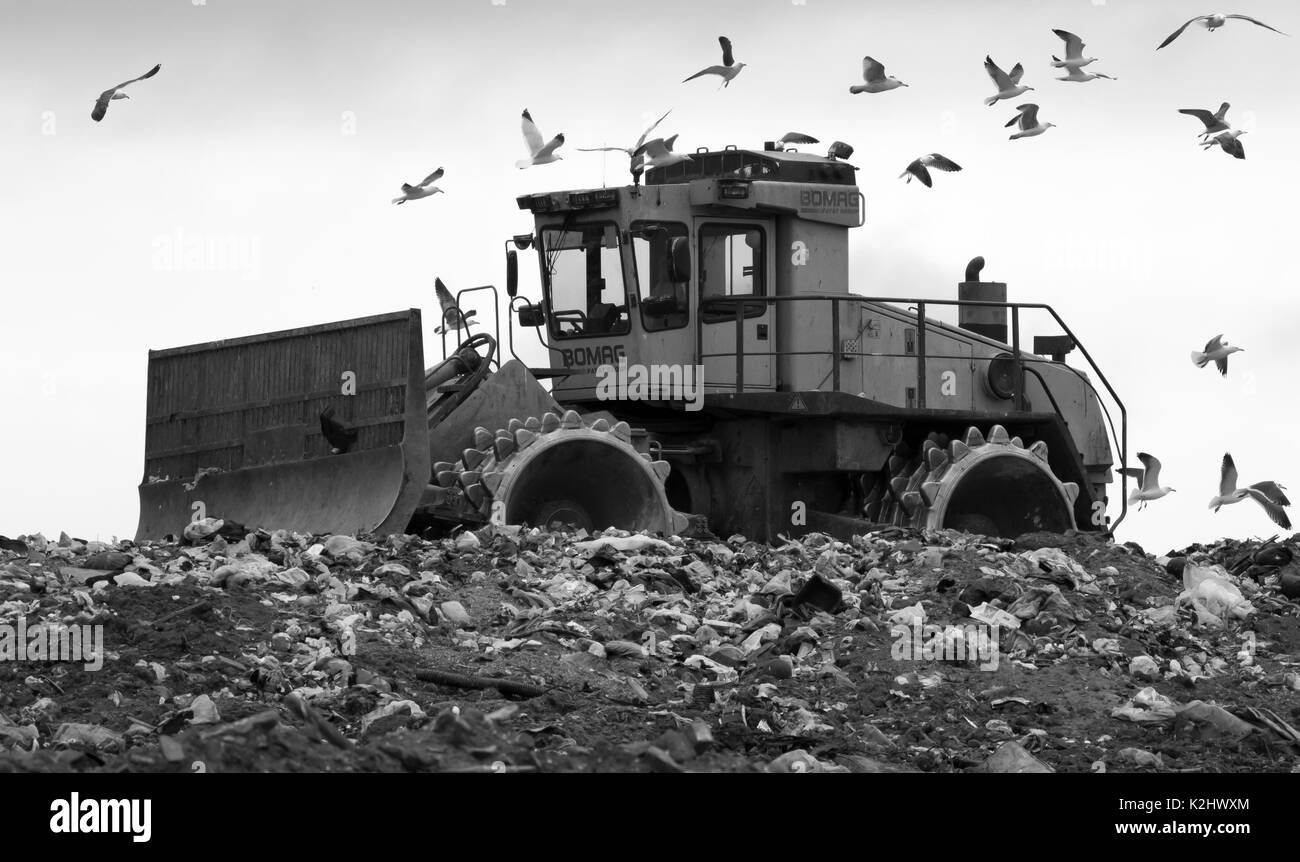 Waste collect Black and White Stock Photos & Images - Alamy