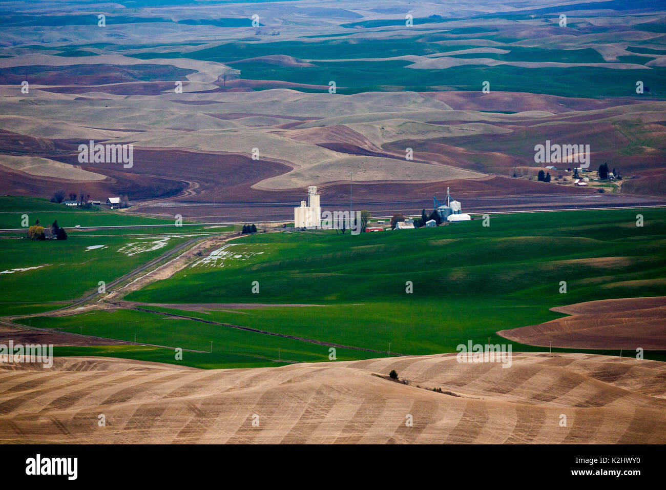 Springtime on the rolling hills of the Palouse in Washington State's ...