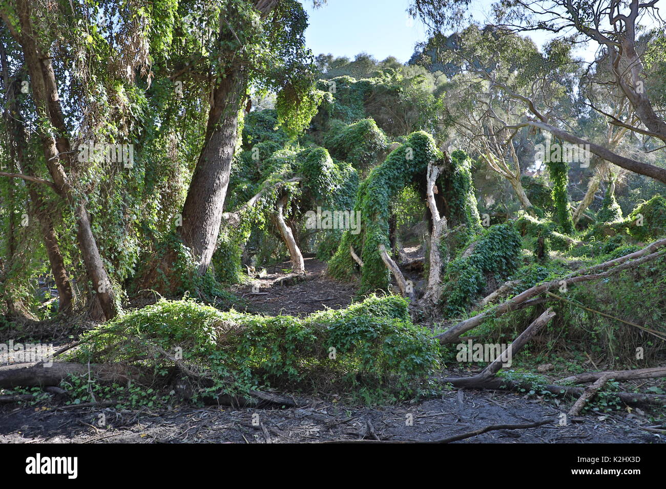 Perth Secret Garden Hidden Vine Playground Stock Photo - Alamy