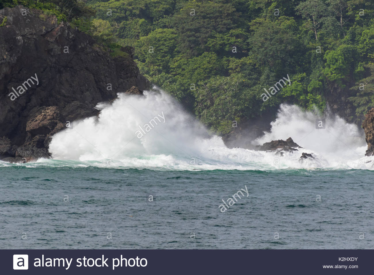 Balboa Tree High Resolution Stock Photography and Images - Alamy