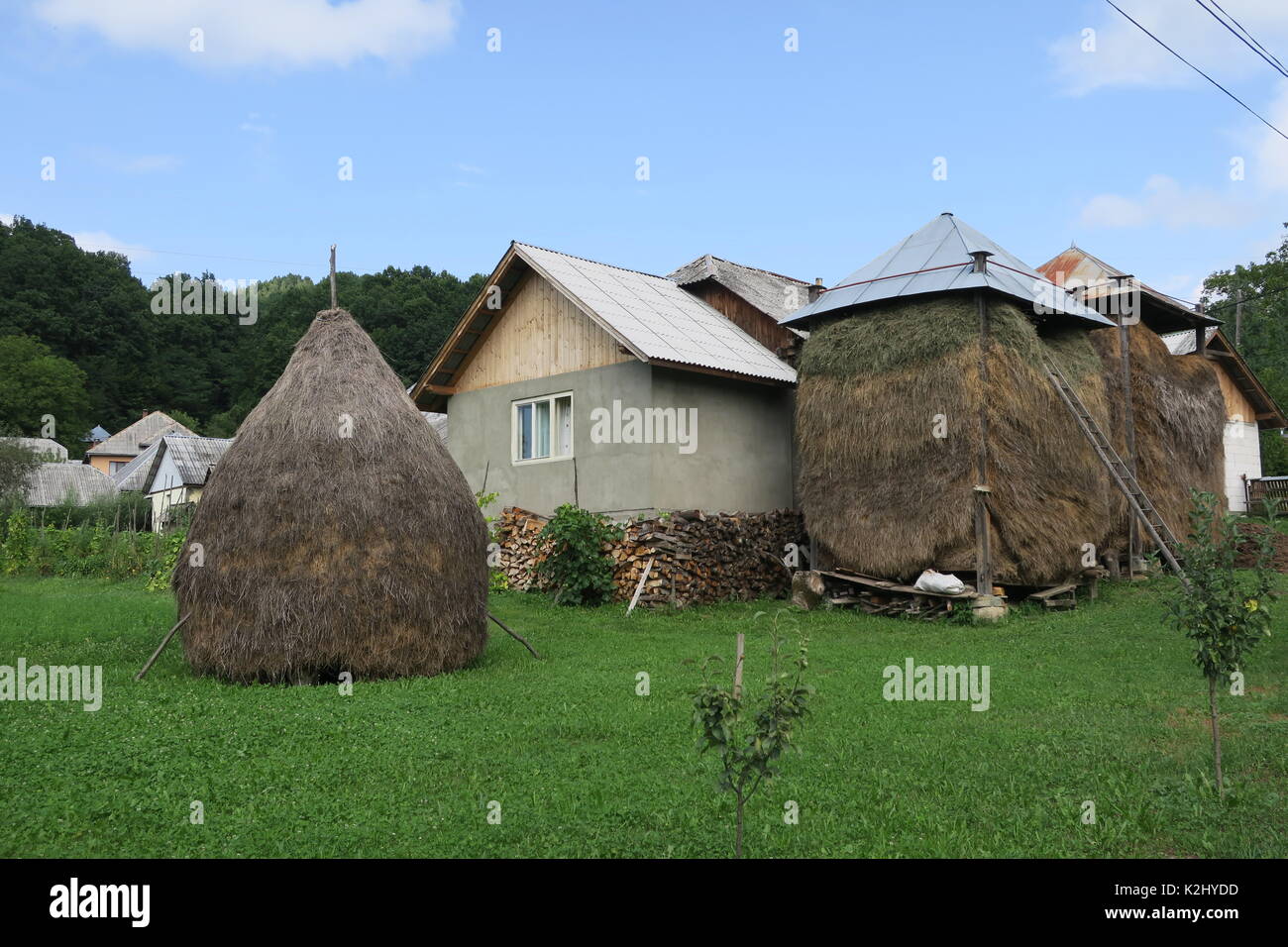 Traditional hay rick in Romanian village Barsana Stock Photo - Alamy