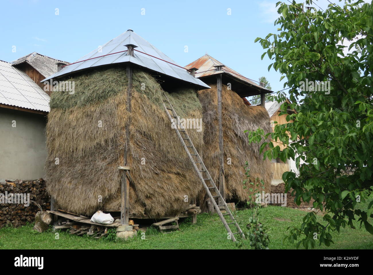 Traditional hay rick in Romanian village Barsana Stock Photo - Alamy