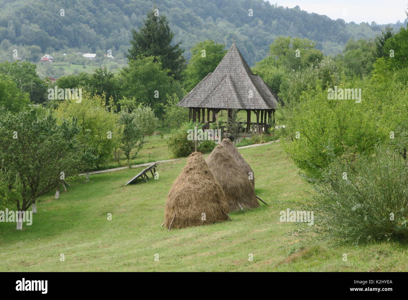 Traditional hay rick on a meadow near monastery complex in Barsana ...