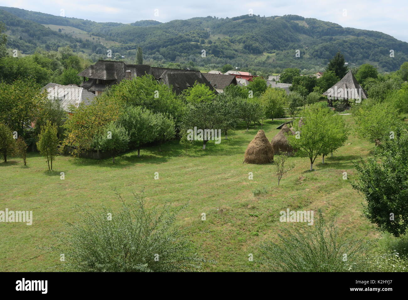 Traditional hay rick on a meadow near monastery complex in Barsana ...