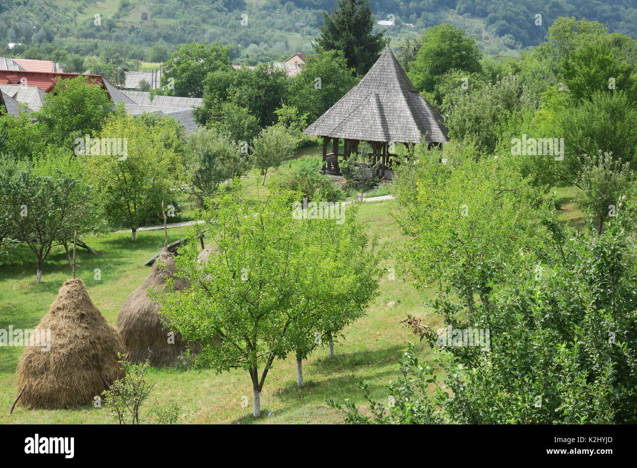 Traditional hay rick on a meadow near monastery complex in Barsana ...