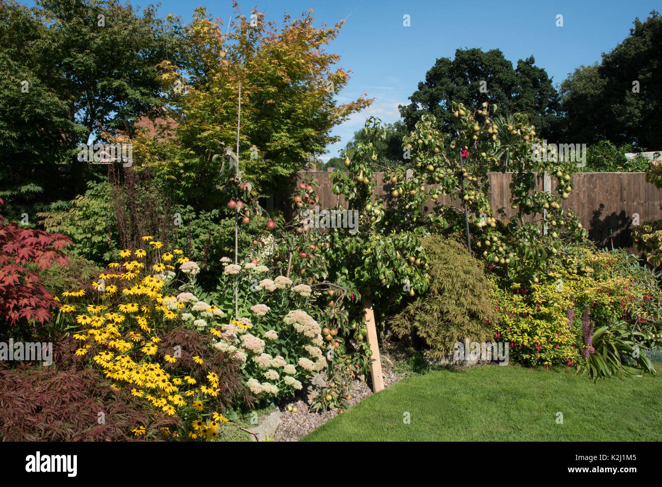 Sagging Tree High Resolution Stock Photography and Images - Alamy