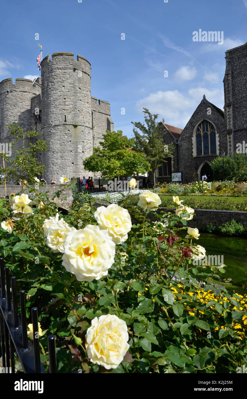 Great stour hi-res stock photography and images - Alamy